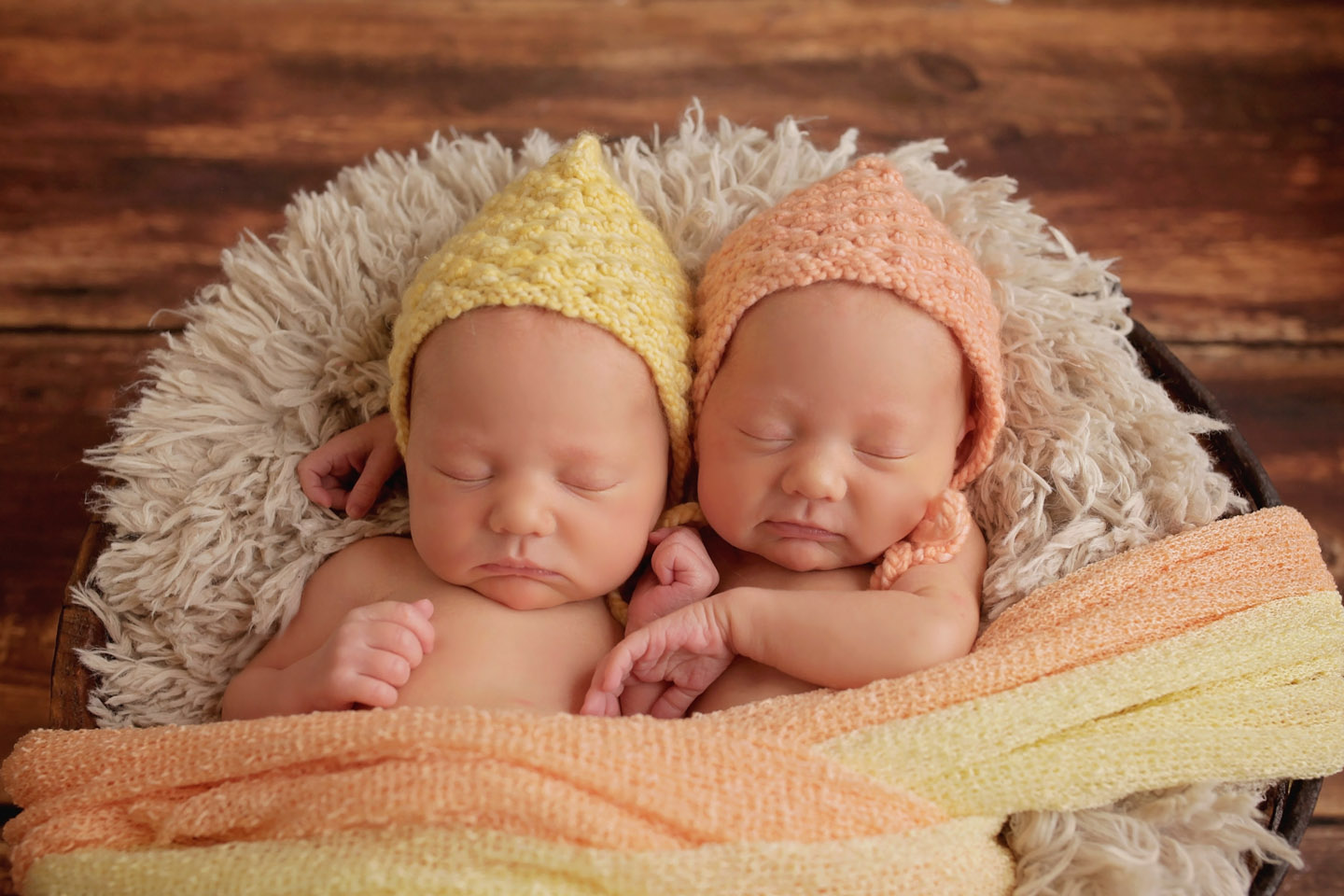 Introducing our newest additions... - Haley Allen Photography