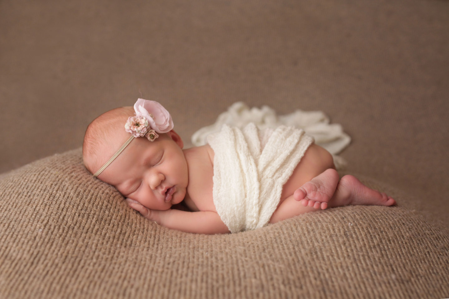 Introducing our newest additions... - Haley Allen Photography